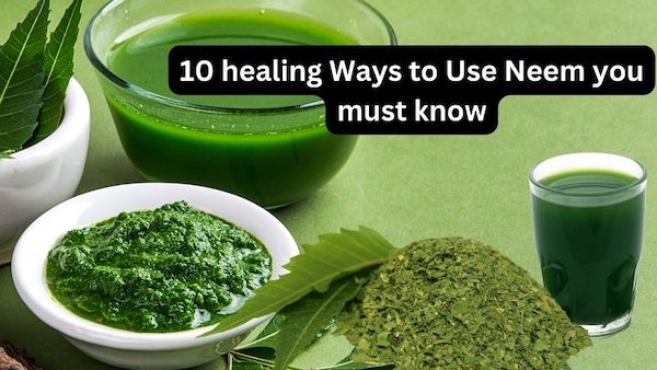 10 healing Ways to Use Neem that No One Has Ever Shown You Before ...